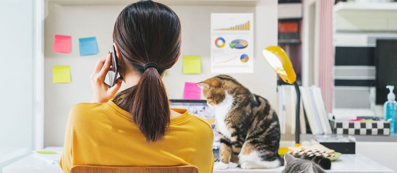 MAPPEI Lösungen für Zuhause und Homeoffice